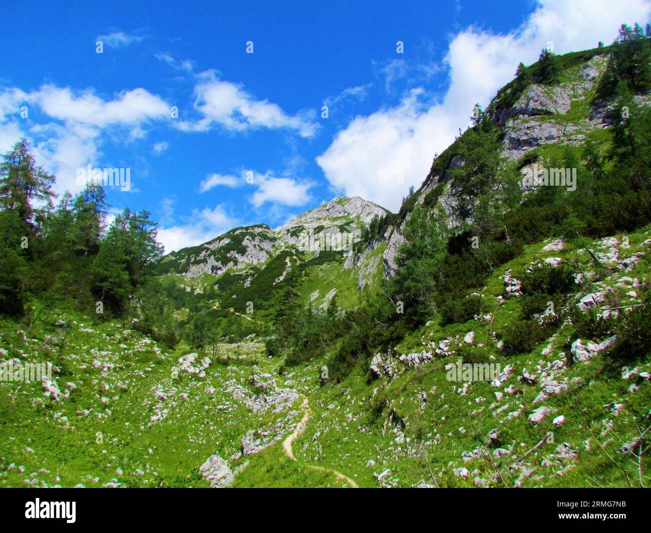 Path leading across an alpine landscape covered in meadows, creeping ...