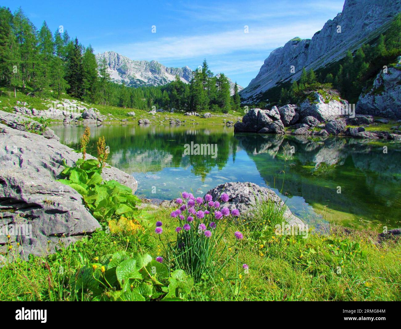 Double lake in Triglav lakes valley in Triglav national park and Julian ...