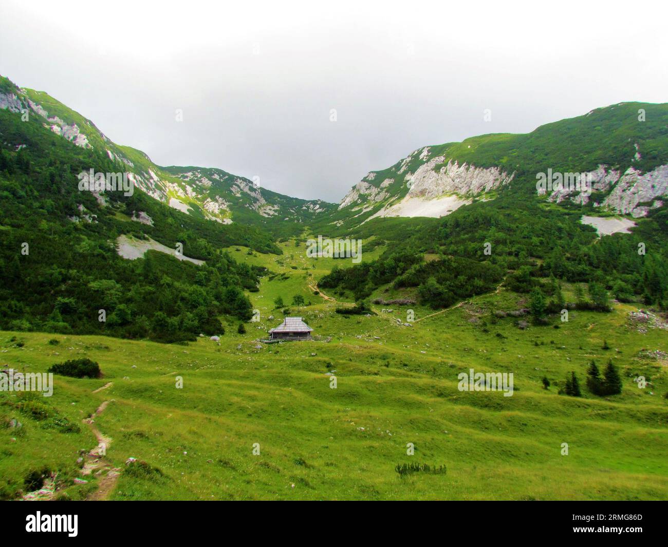 Traditional wooden hut typical for the Kamnik-savinja alps in Gorenjska ...