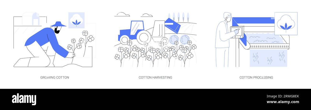 Cotton farm abstract concept vector illustrations Stock Vector Image ...