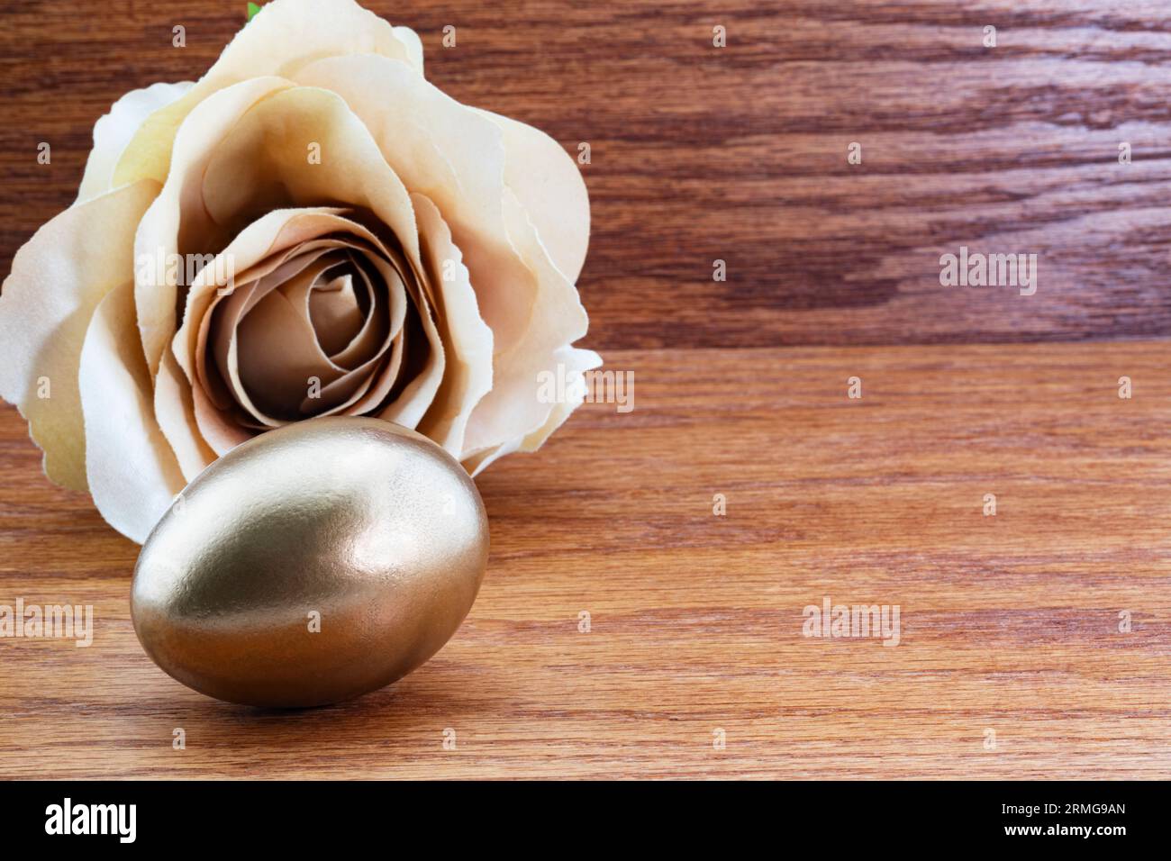 Gold nest egg with beige rose on wood is elegant reflection of winning ...