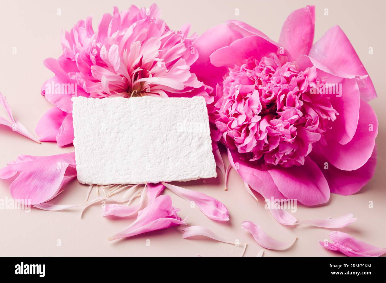Pink peony flowers, handmade paper card, mockup Stock Photo - Alamy