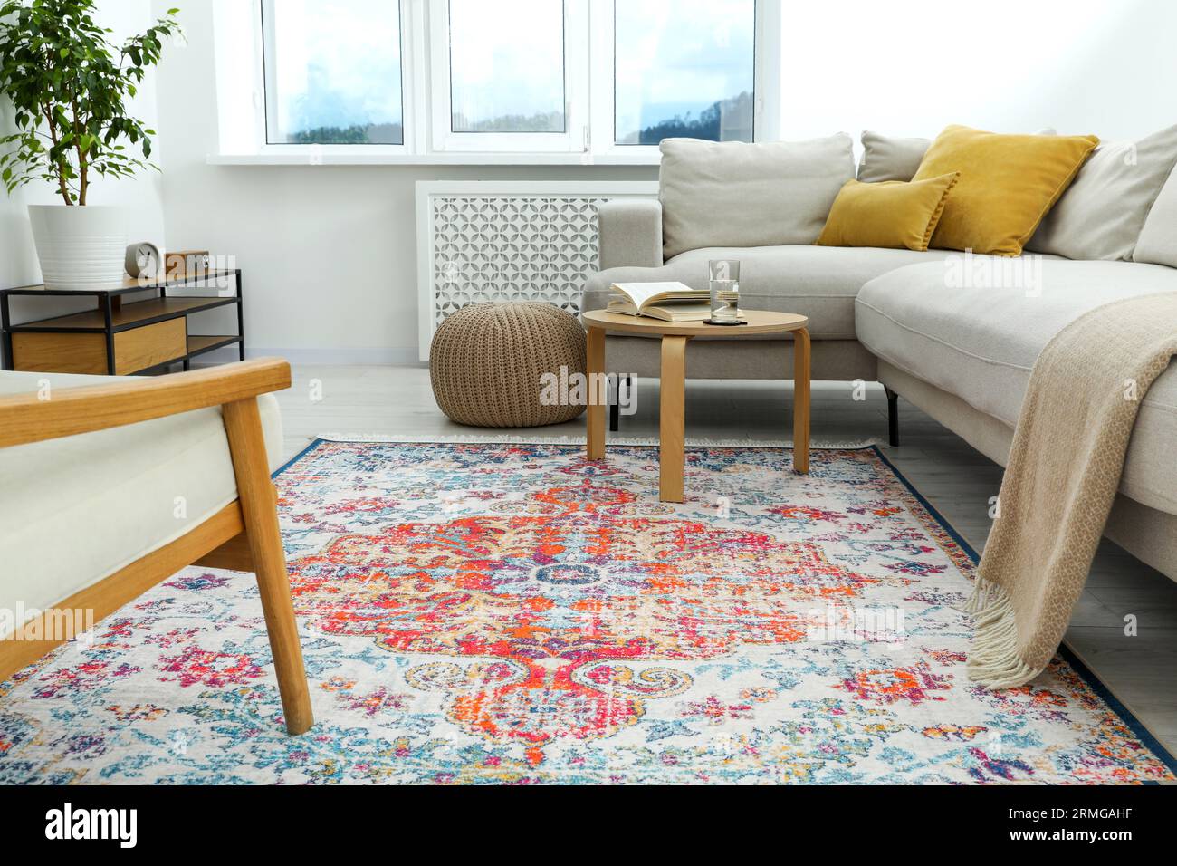 Stylish living room with beautiful carpet and furniture. Interior ...