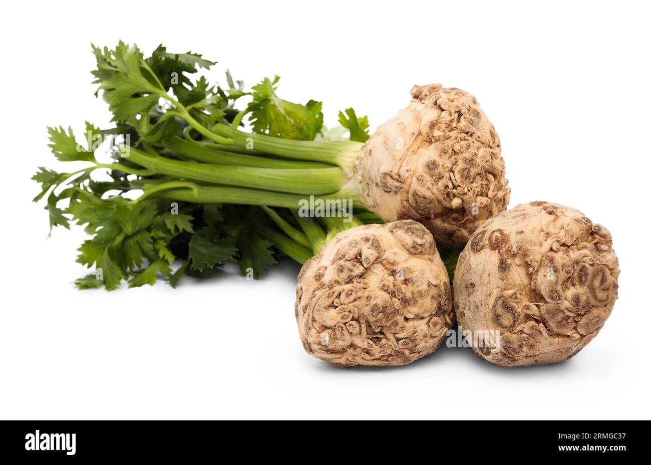 Fresh celery stalks leaves hi-res stock photography and images - Alamy