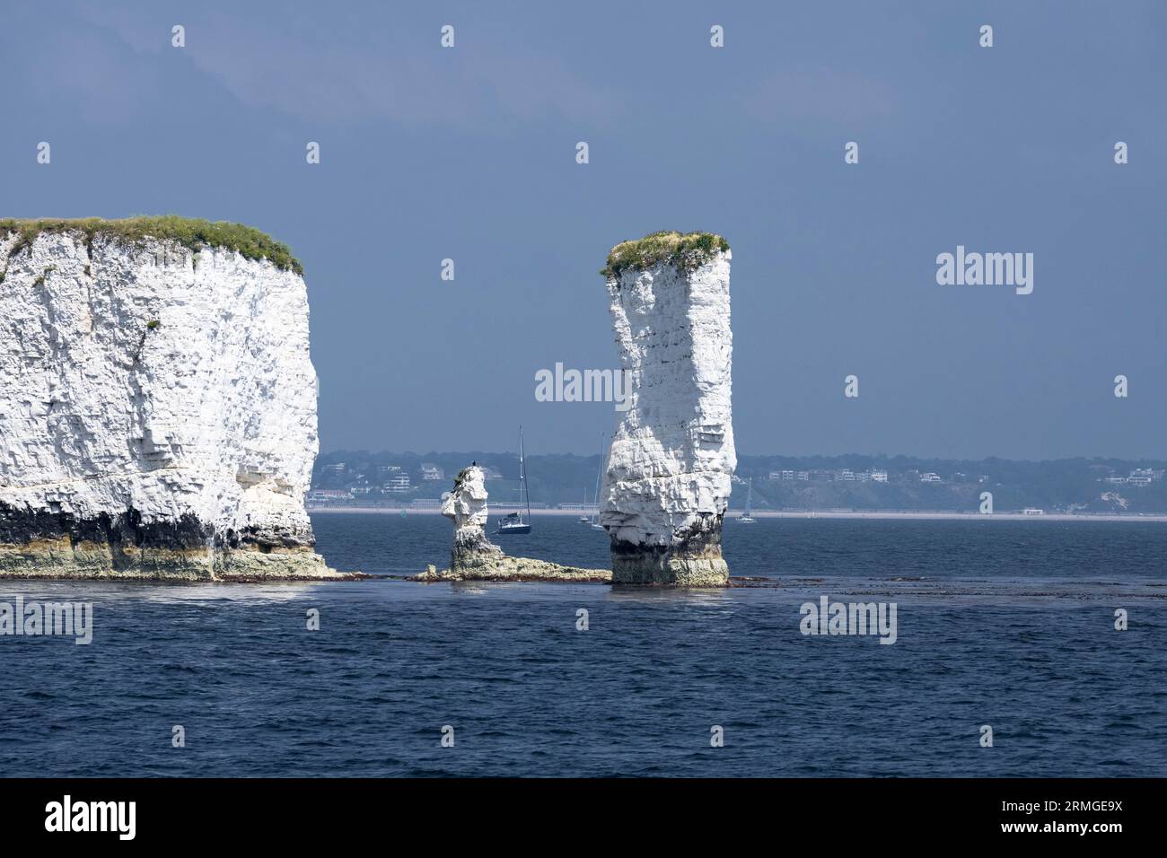View the Old Harry Rock from boat, Swanage, Dorset, UK Stock Photo - Alamy