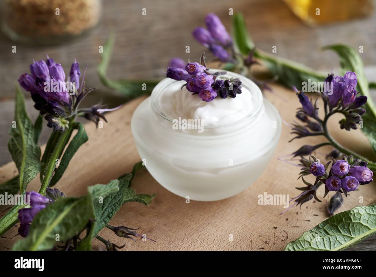 Comfrey ointment with fresh symphytum or knitbone flowers Stock Photo ...