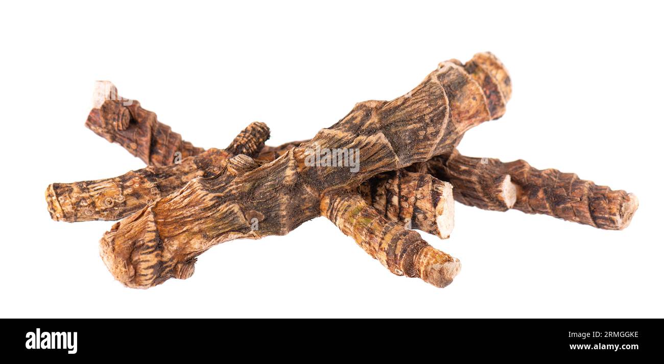 Acorus calamus calamus root hi-res stock photography and images - Alamy
