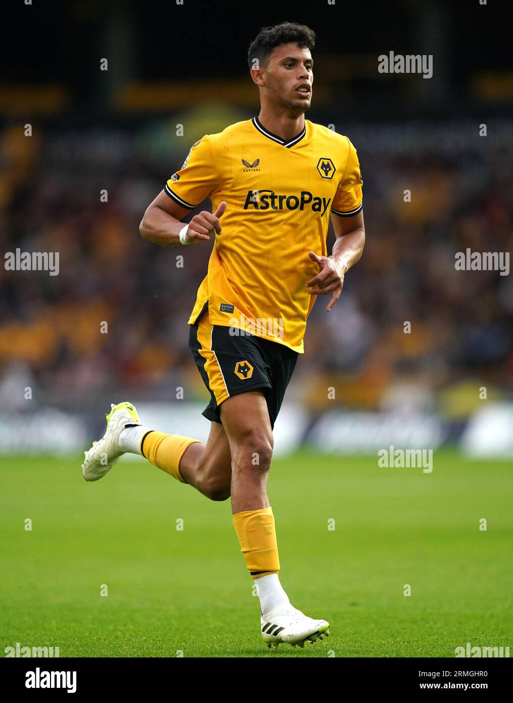 Nunes wolves hi-res stock photography and images - Alamy