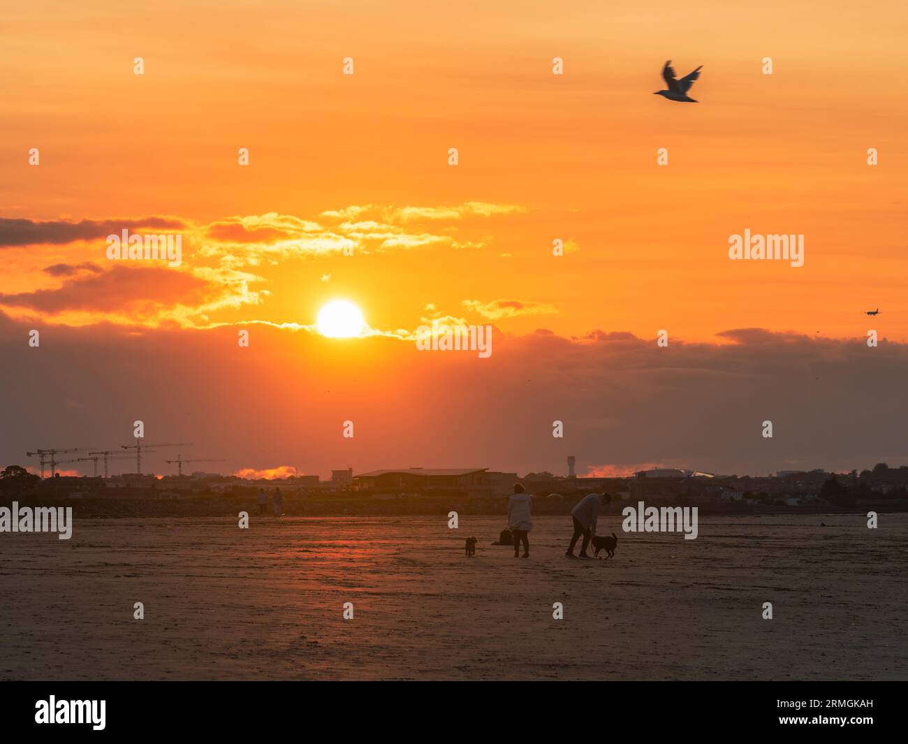 August sunset hi-res stock photography and images - Alamy