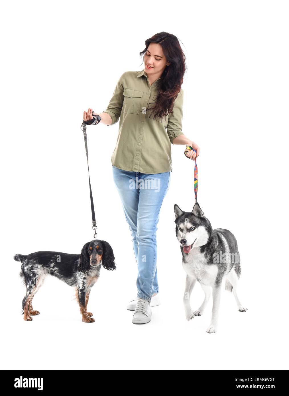 Young woman with cute dogs walking on white background Stock Photo - Alamy