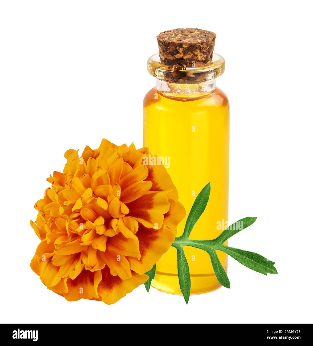aromatherapy essential oil with marigold flower isolated on white ...