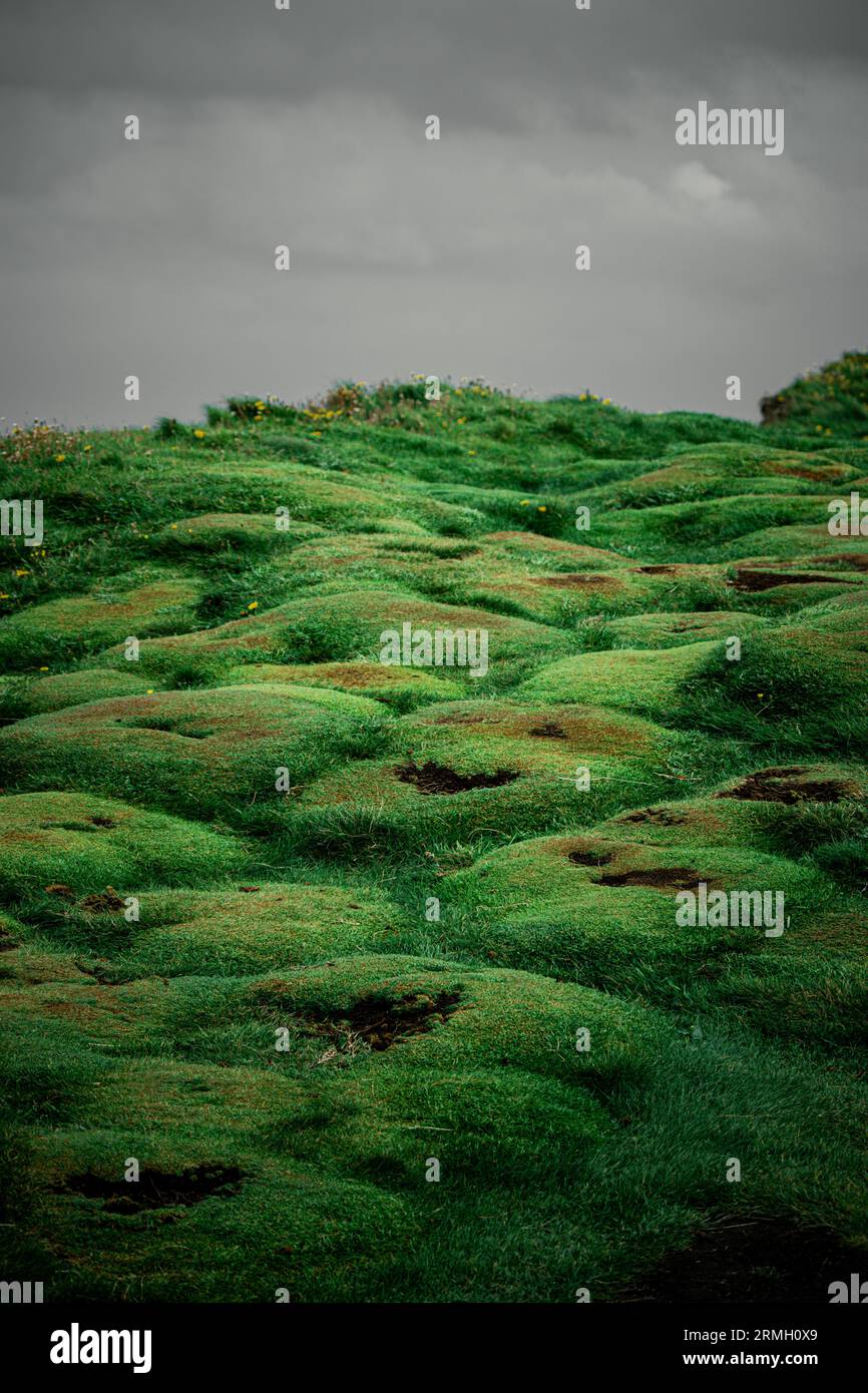 Emerald green waves hi-res stock photography and images - Alamy