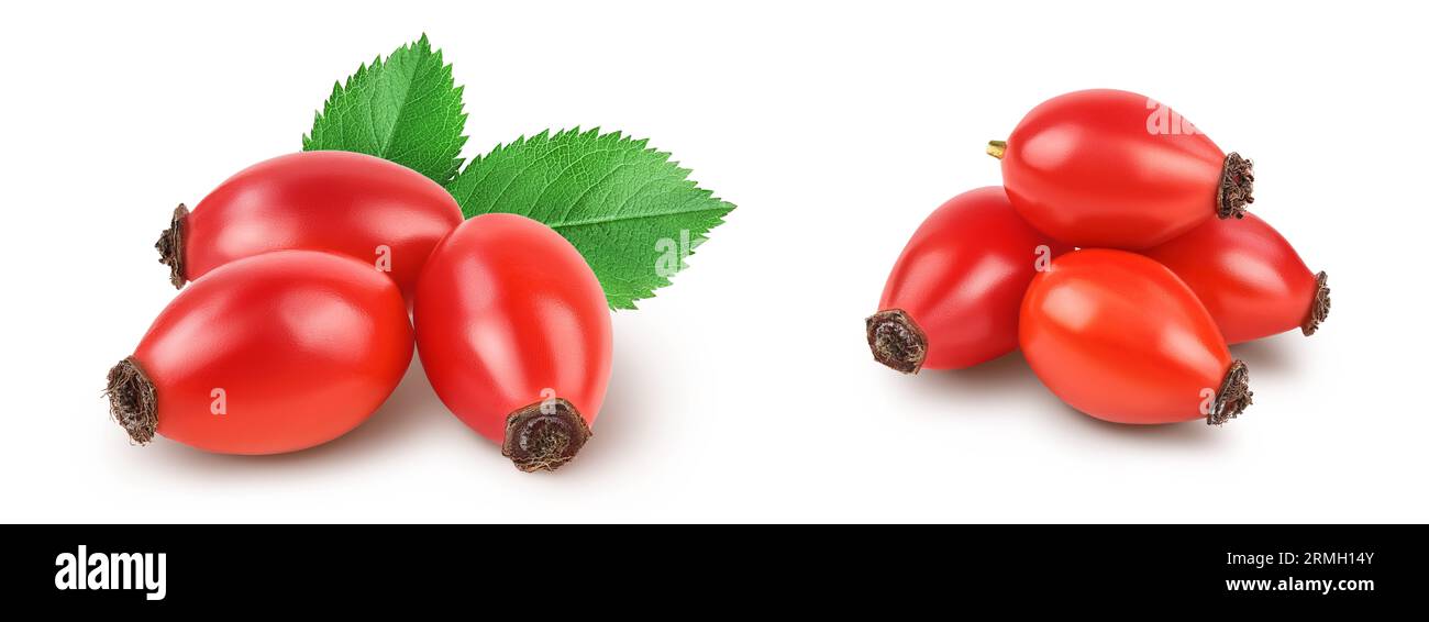 Rose hip isolated on a white background with full depth of field Stock ...