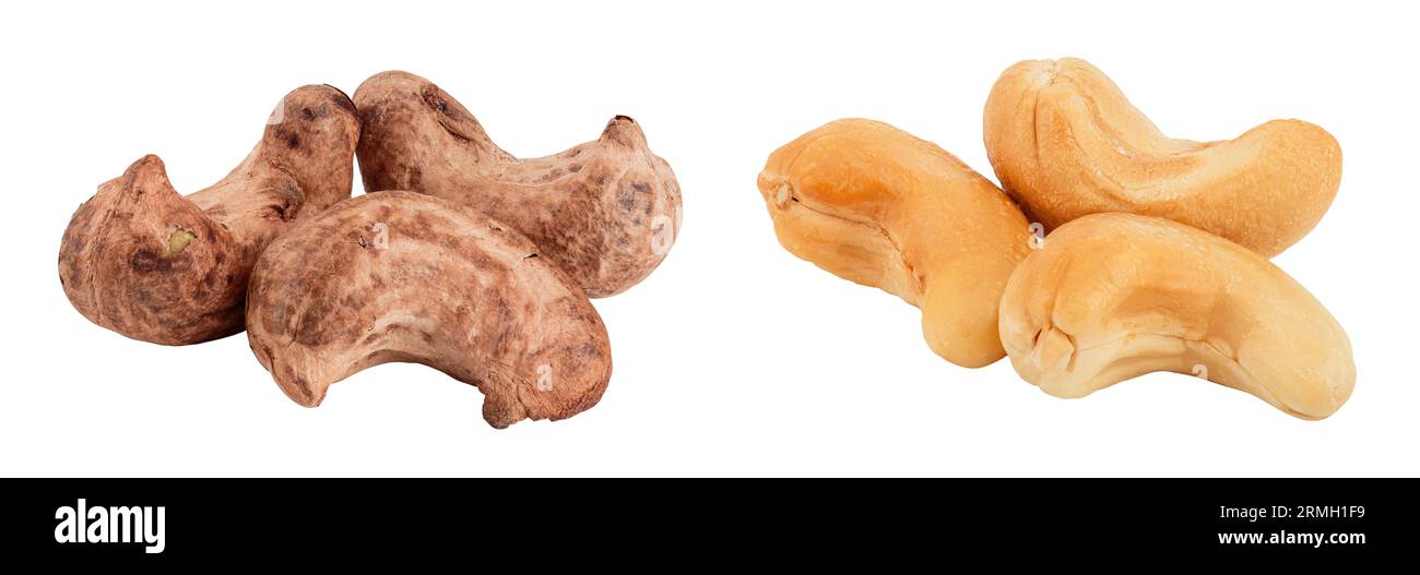 cashew nuts heap with shell isolated on white background Stock Photo ...