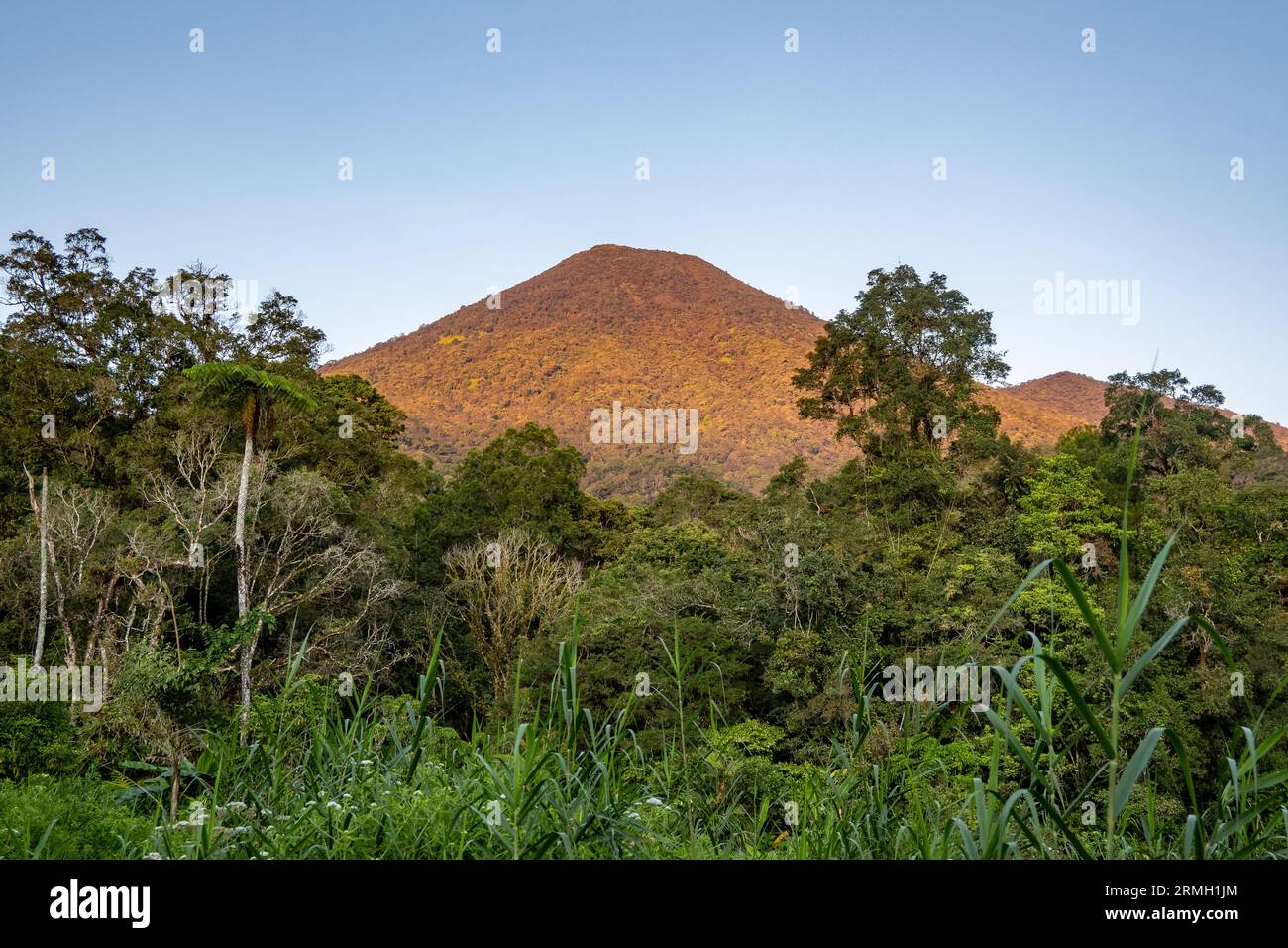 The volcanic peak of Mount Gede at the Mount Gede Pangrango National ...