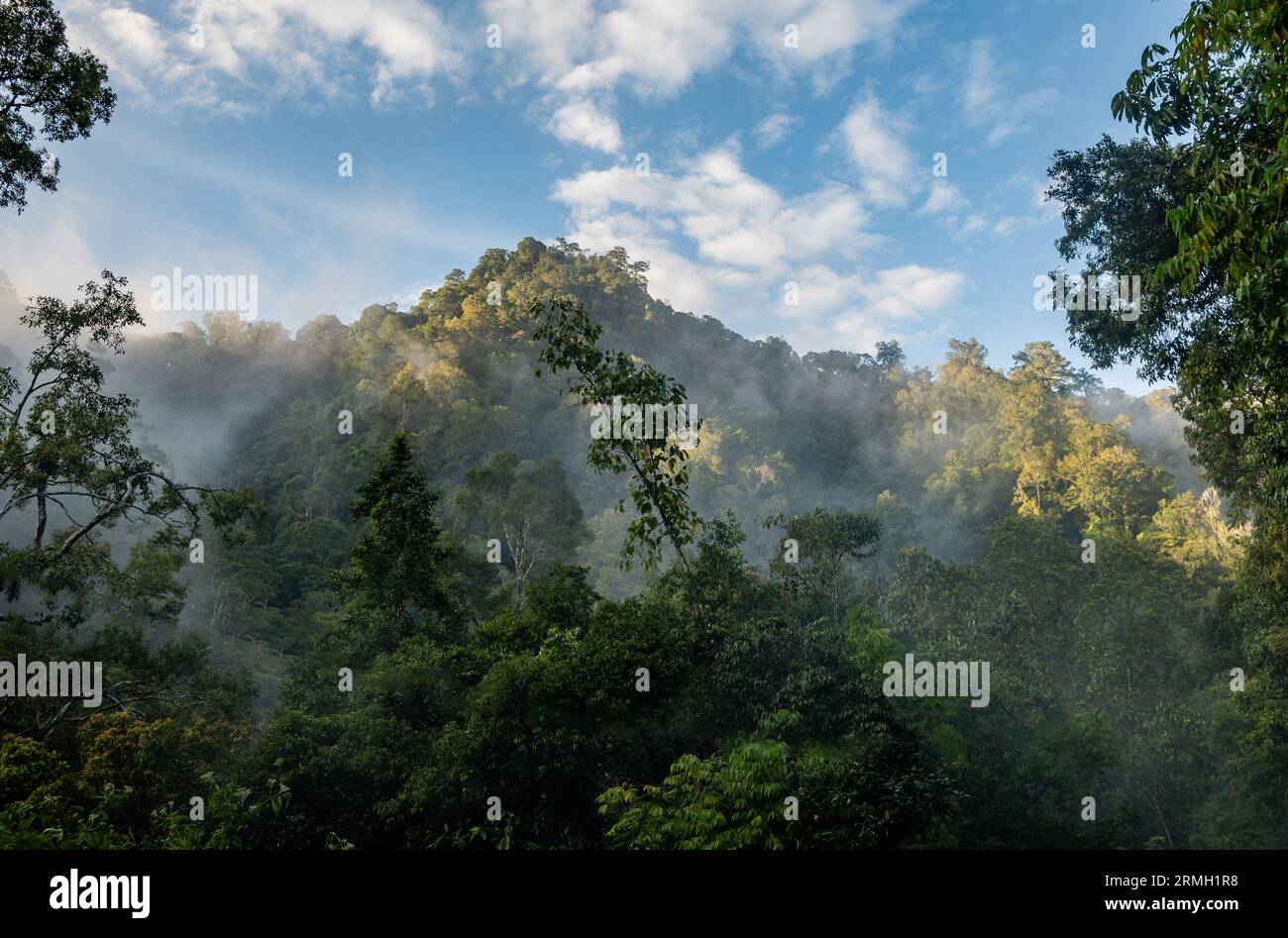 Indonesia sumatra hi-res stock photography and images - Alamy
