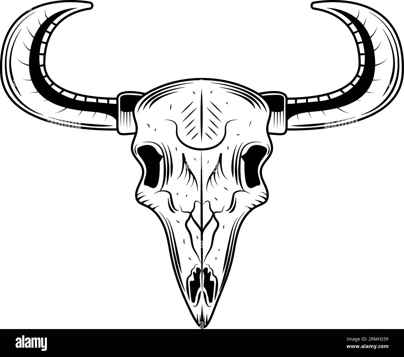 bull skull illustration Stock Vector Image & Art - Alamy