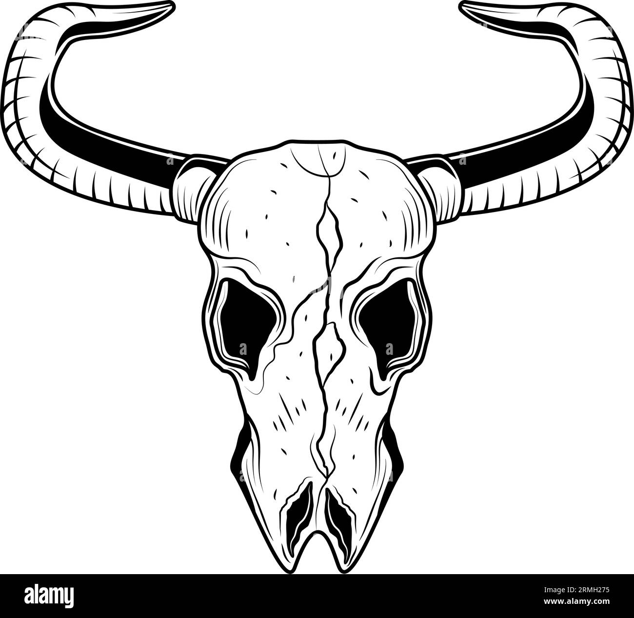 black bull skull Stock Vector Image & Art - Alamy