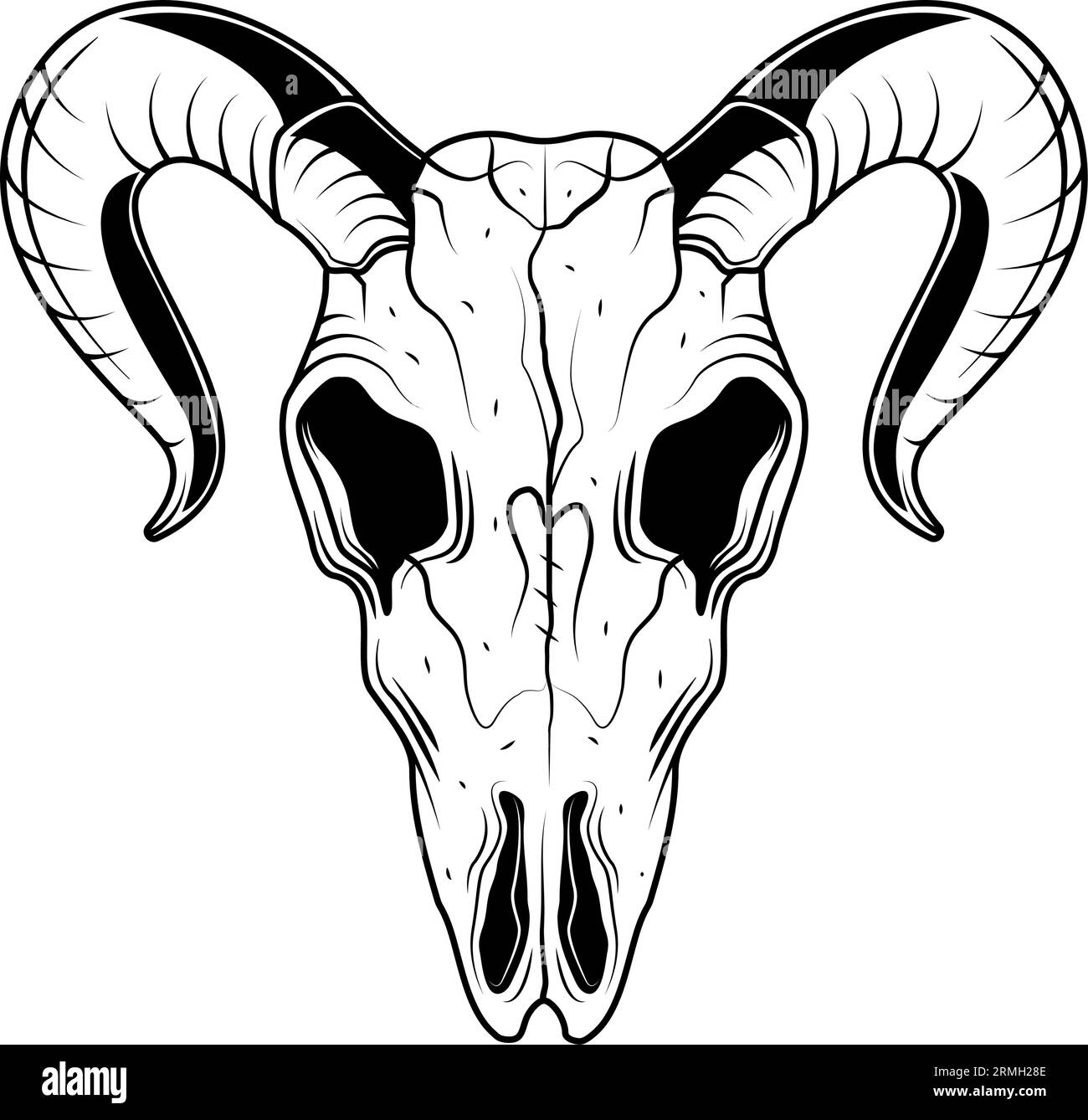 black goat skull Stock Vector Image & Art - Alamy
