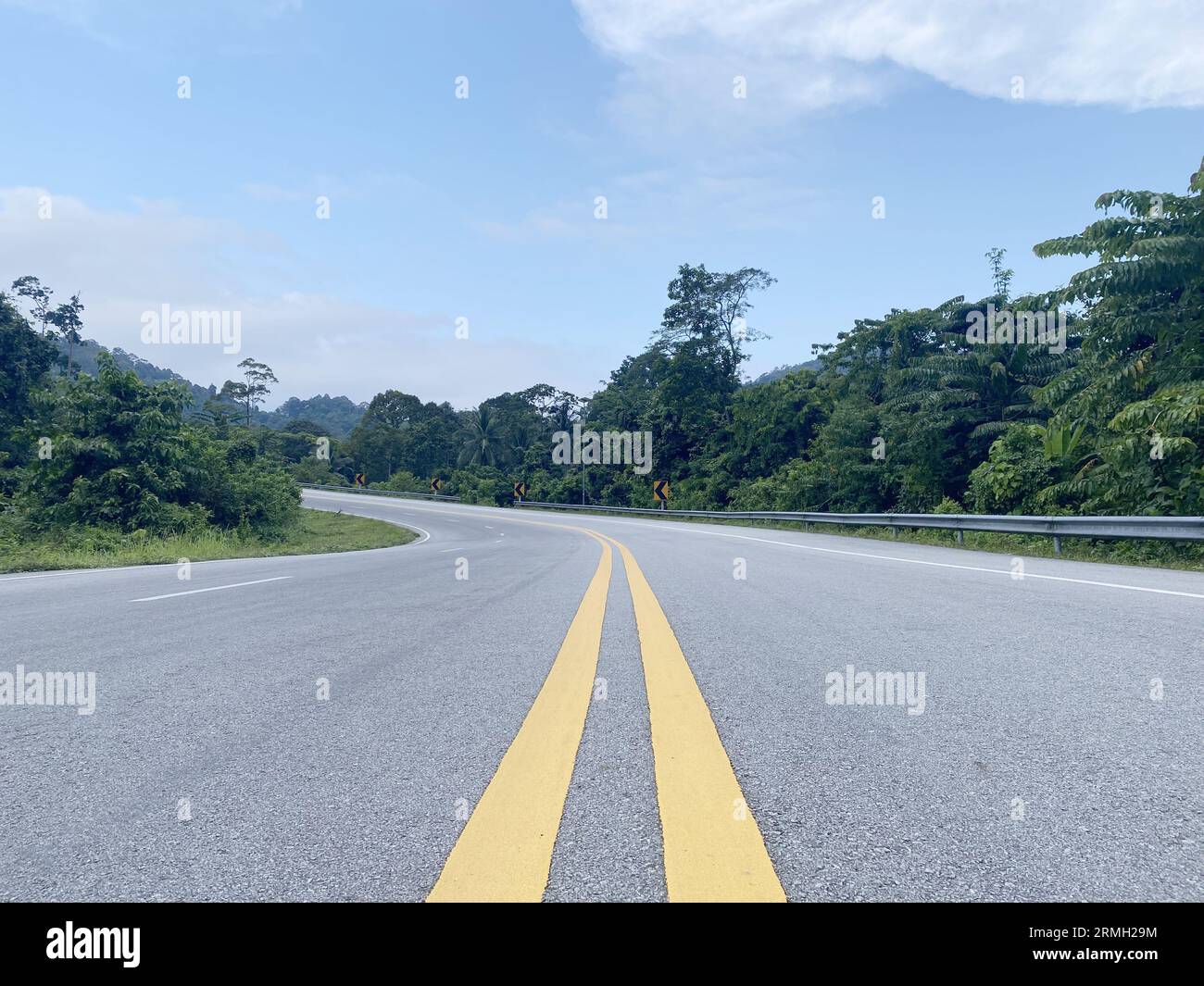 road asphalt in the forest nature countryside of Thailand, road ...
