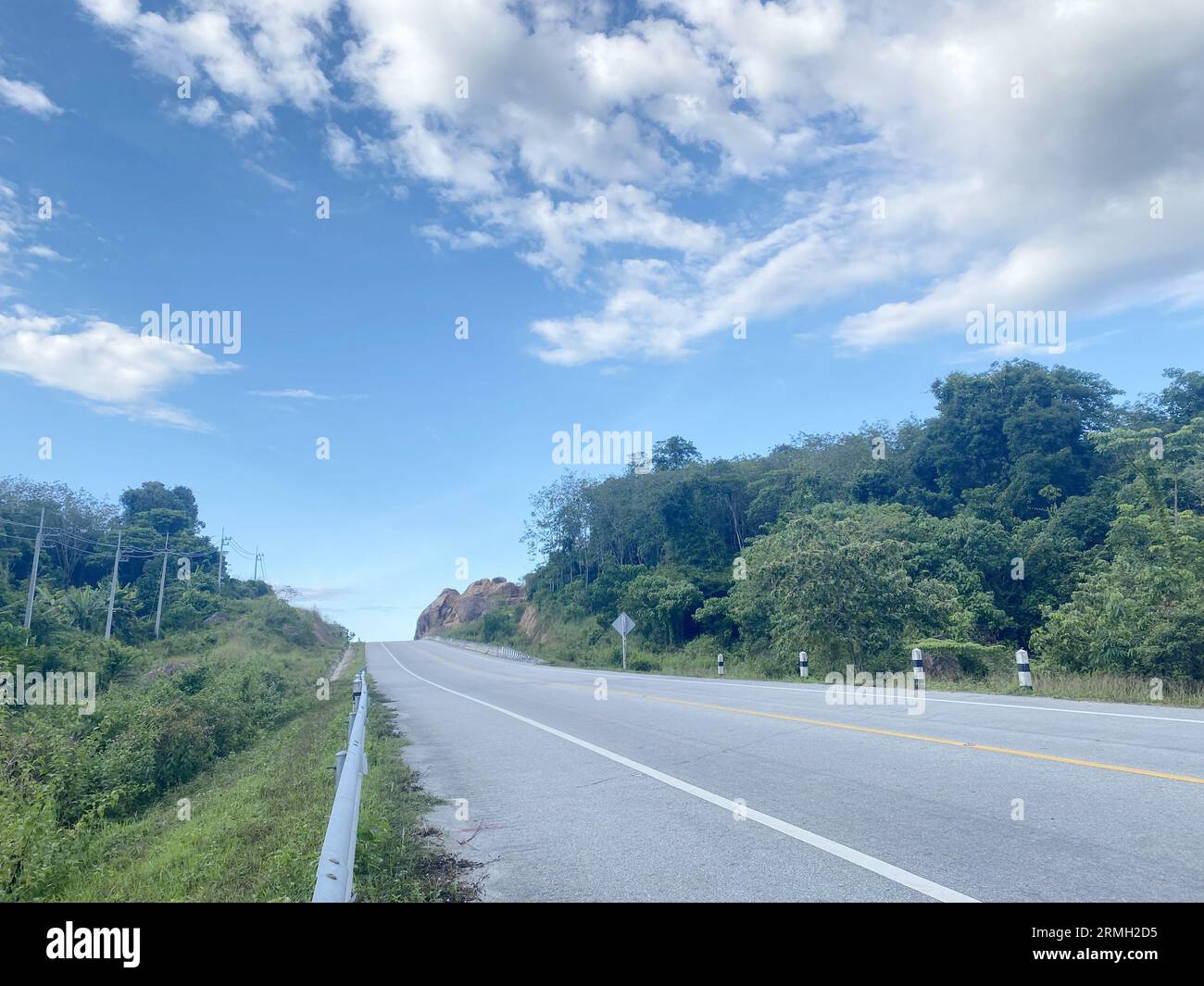 road asphalt in the forest nature countryside of Thailand, road ...