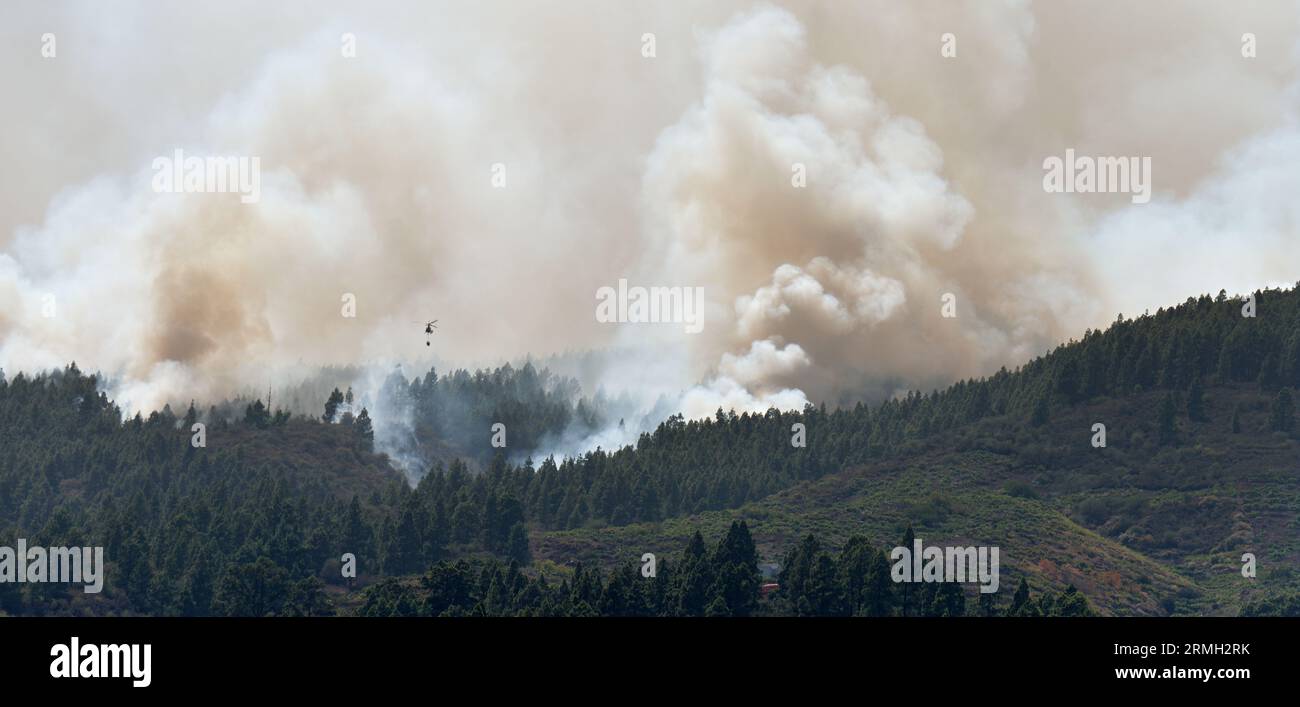 Forest fire at mountain. Smoke from a fire. Countryside forest with ...