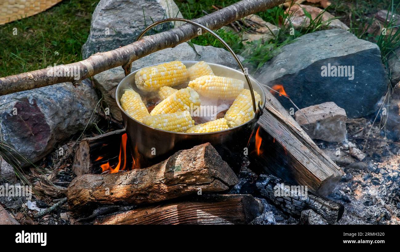 Baking corn and lobster in campfire in pot Stock Photo - Alamy