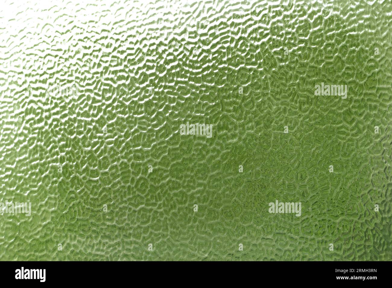 Light Green Glass Texture
