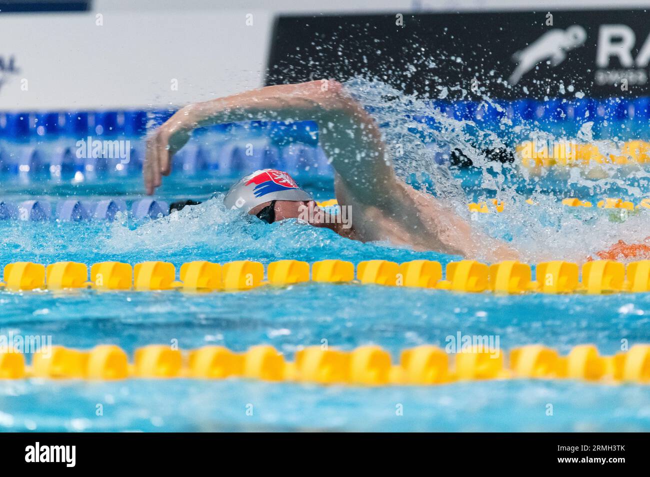Marek Grycz (pictured) and Lucie Hlavackova of Czech Republic during ...