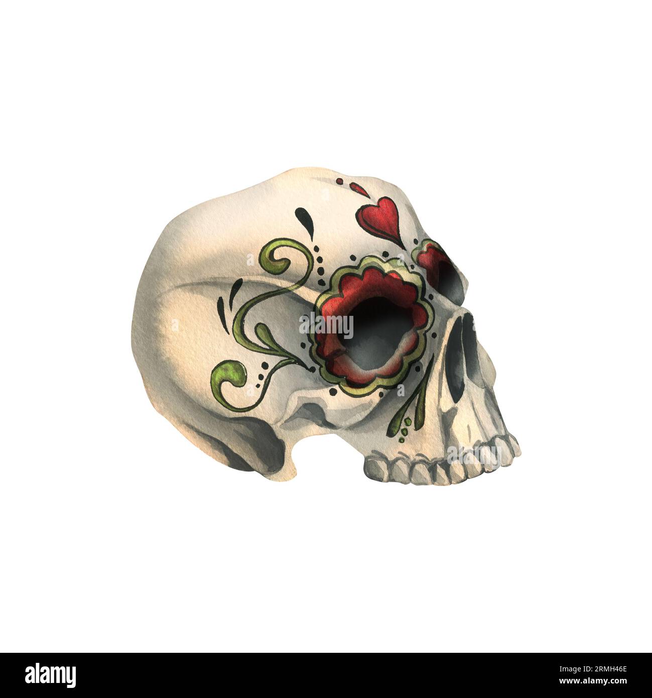 Human skull profile without lower jaw with decorations evil, terrible ...
