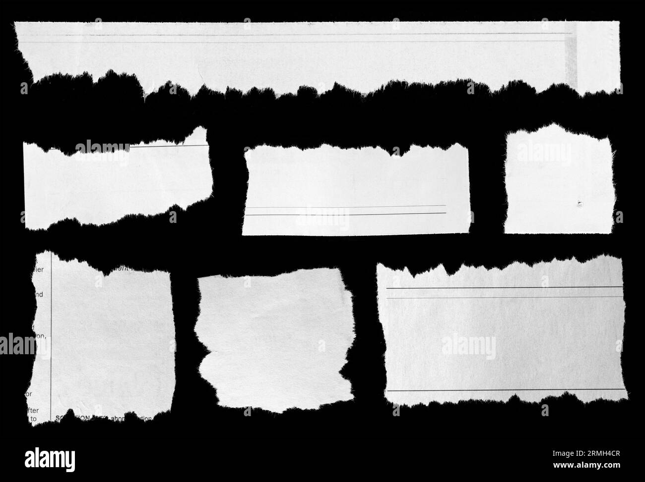 Torn Newspaper Clipping