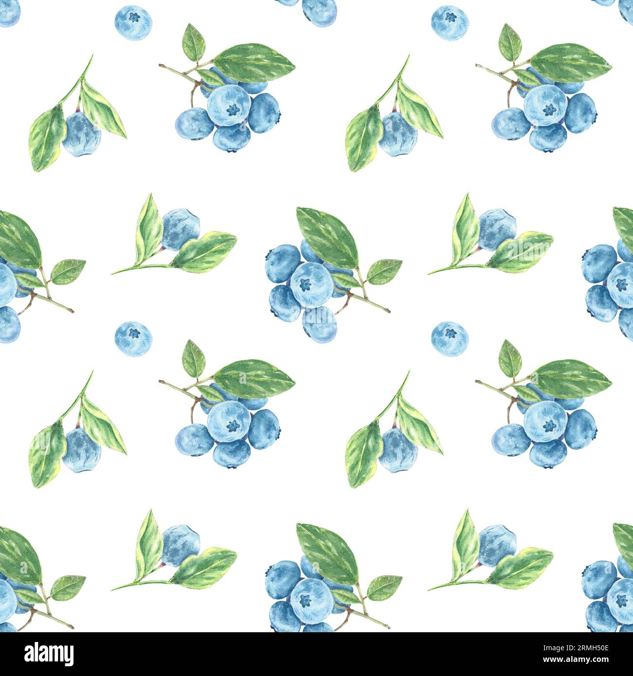 Botanical blackberry illustration hi-res stock photography and images ...