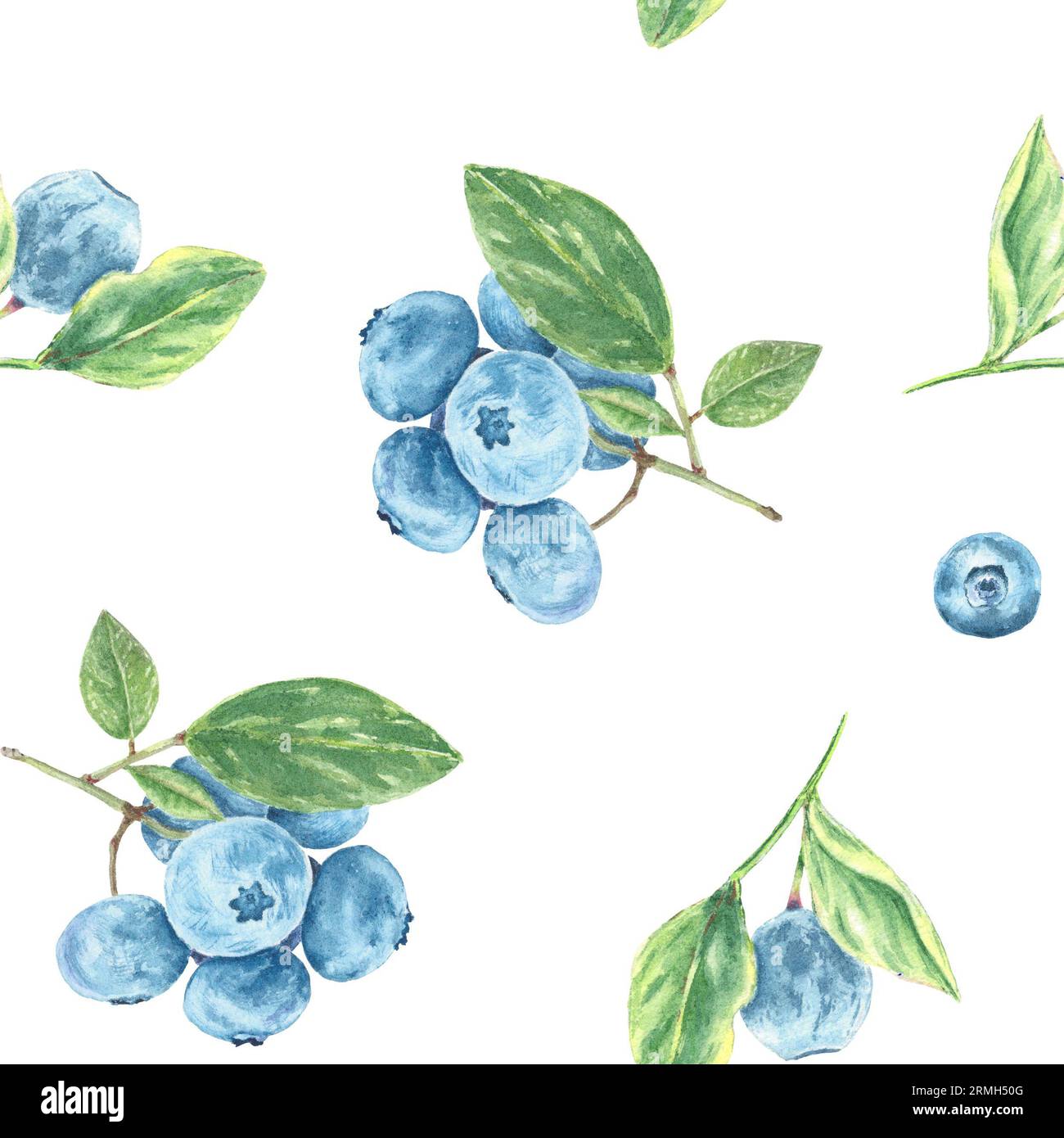 Blueberries seamless pattern. Watercolor branch with berries blueberry ...