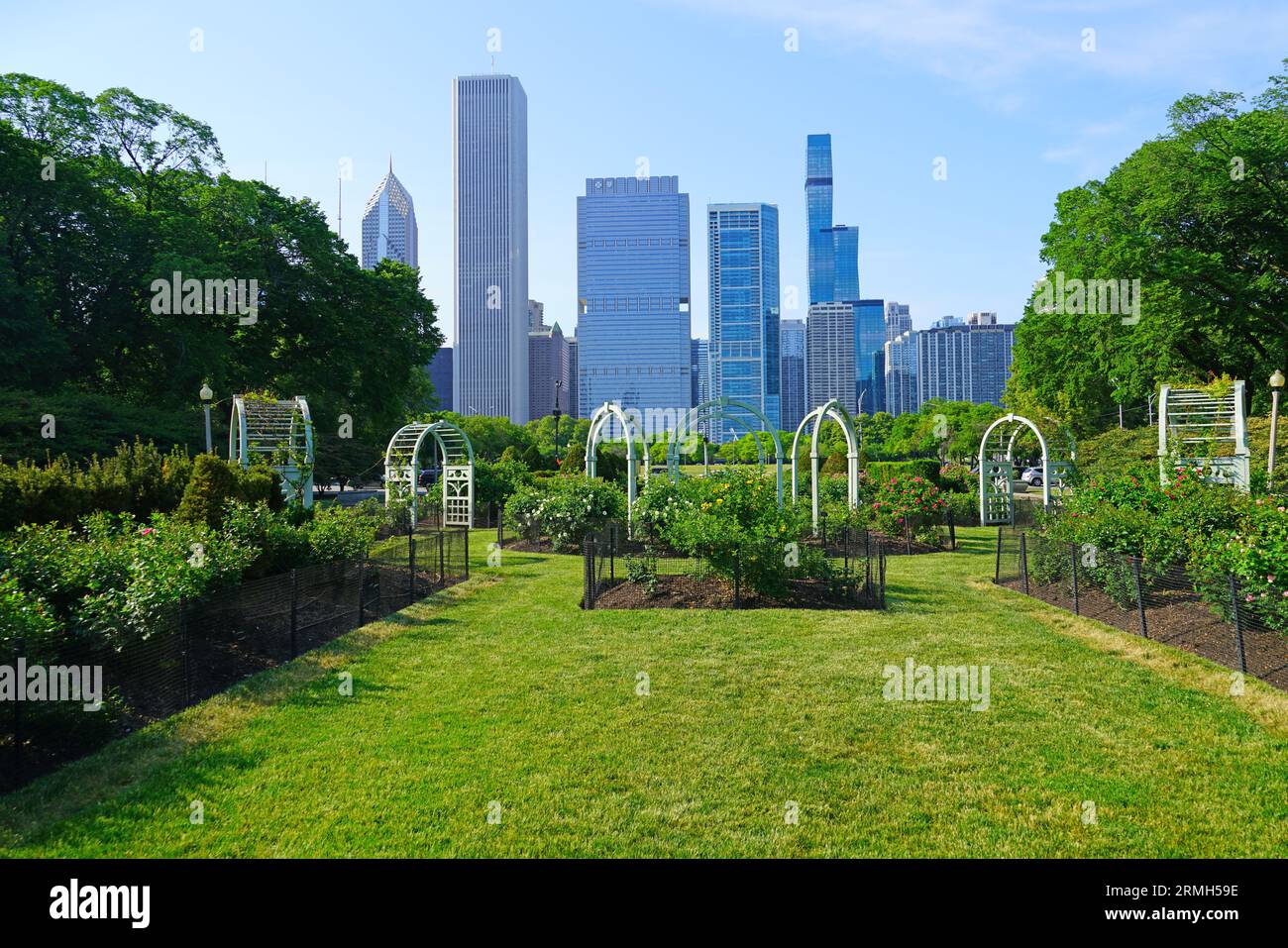 CHICAGO, IL -2 JUNE 2023- View of the Grant Park Rose Garden with a ...
