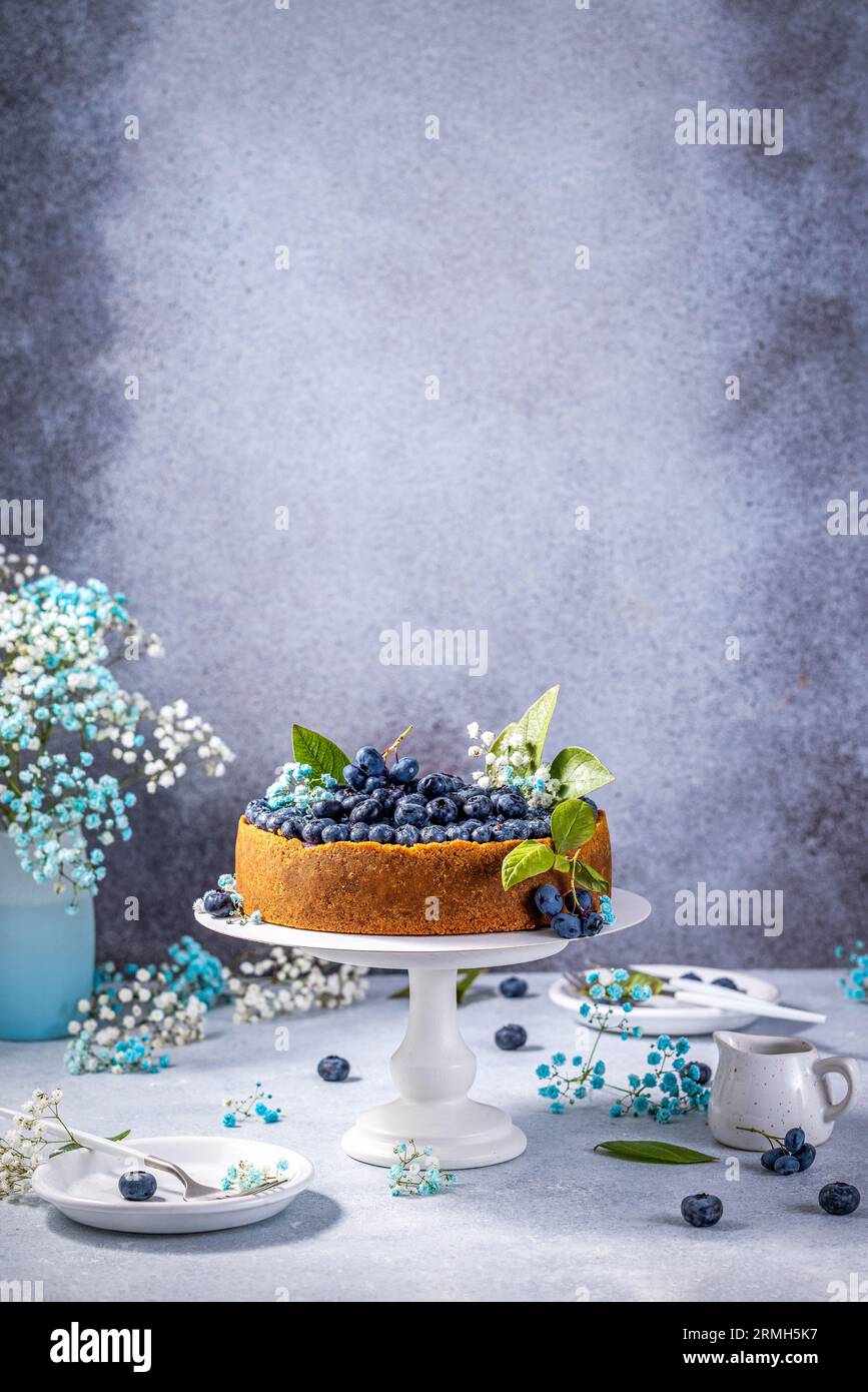 Sweet creamy blueberry cheesecake with fresh blueberries and whipped ...