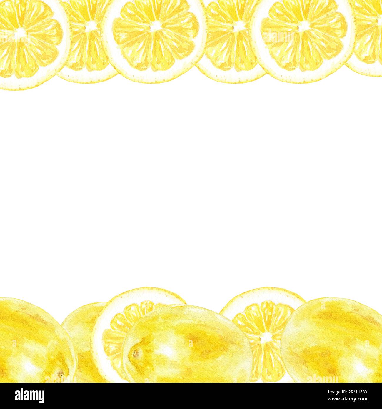 Watercolor illustration frame of lemons slice hand drawn in botanical ...