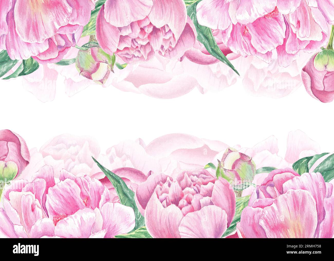 Watercolor frame with pink peonys hand-drawn in botanical style for use ...