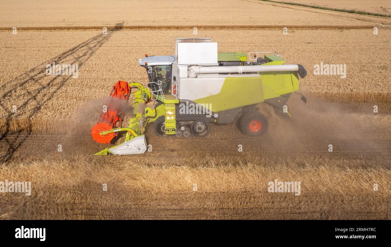 Harvest a golden wheat field, dust clouds. Aerial shot. Harvester fill ...