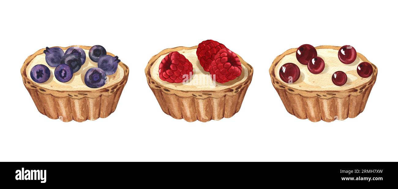 Watercolor dessert set with wildberry, baked fresh berry tart with ...