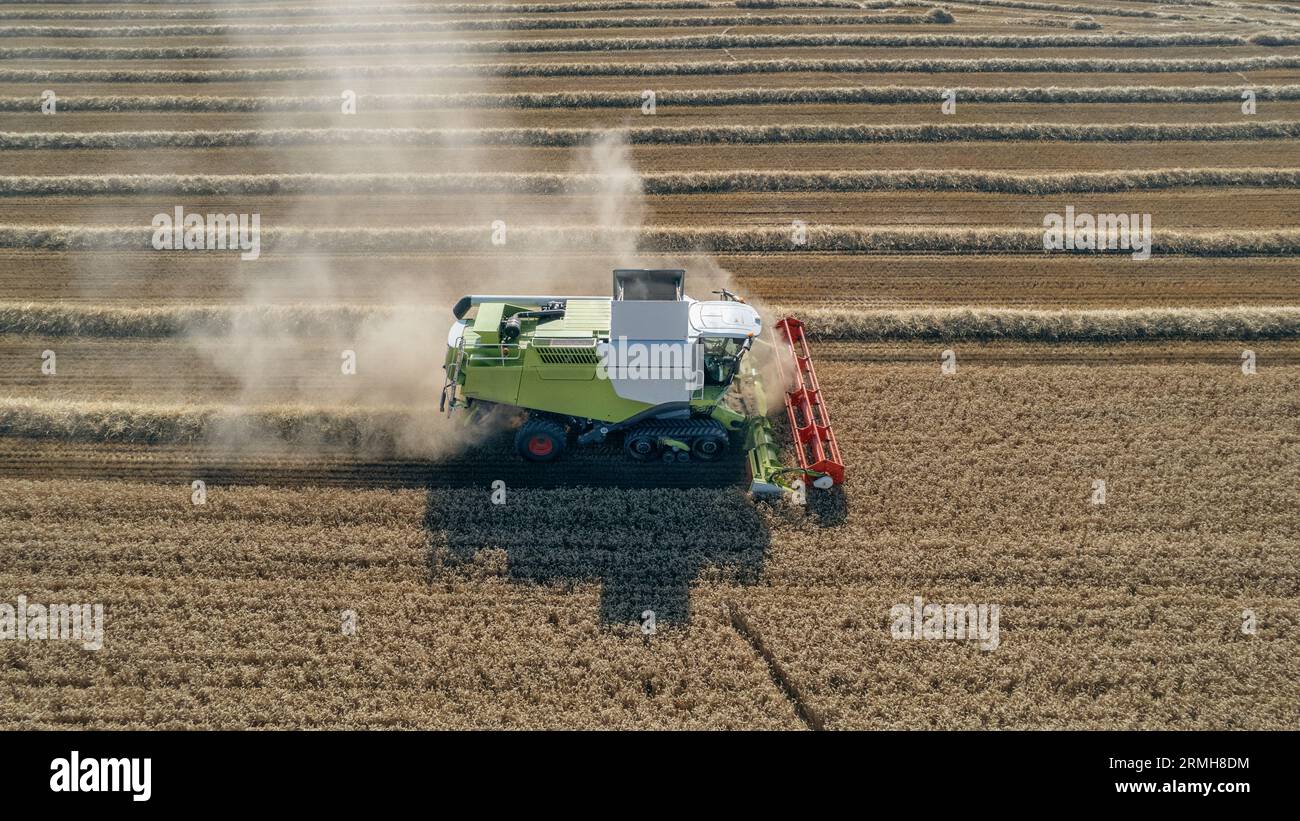 Harvest a golden wheat field, dust clouds. Aerial shot. Harvester fill ...