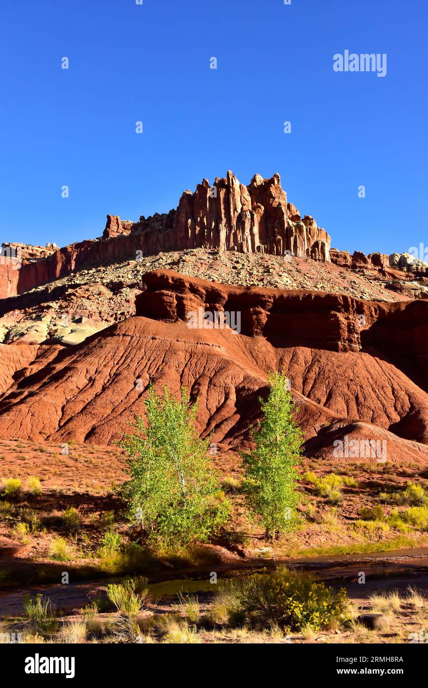 Red rocks and green trees at Capitol Reef National Park, Utah Stock ...