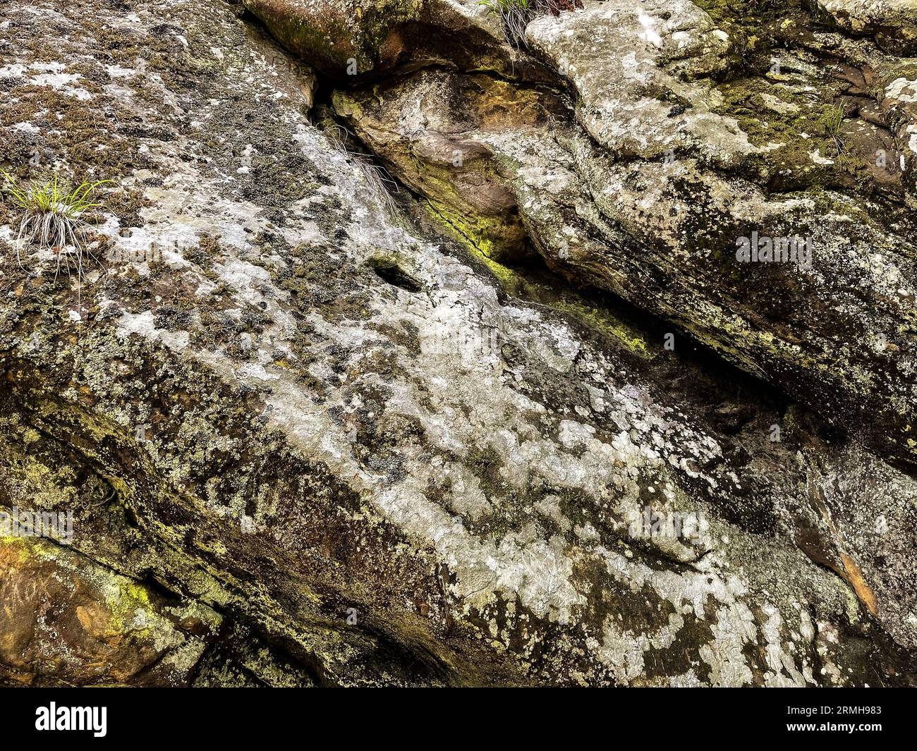 Ancient mossy rock texture hi-res stock photography and images - Alamy