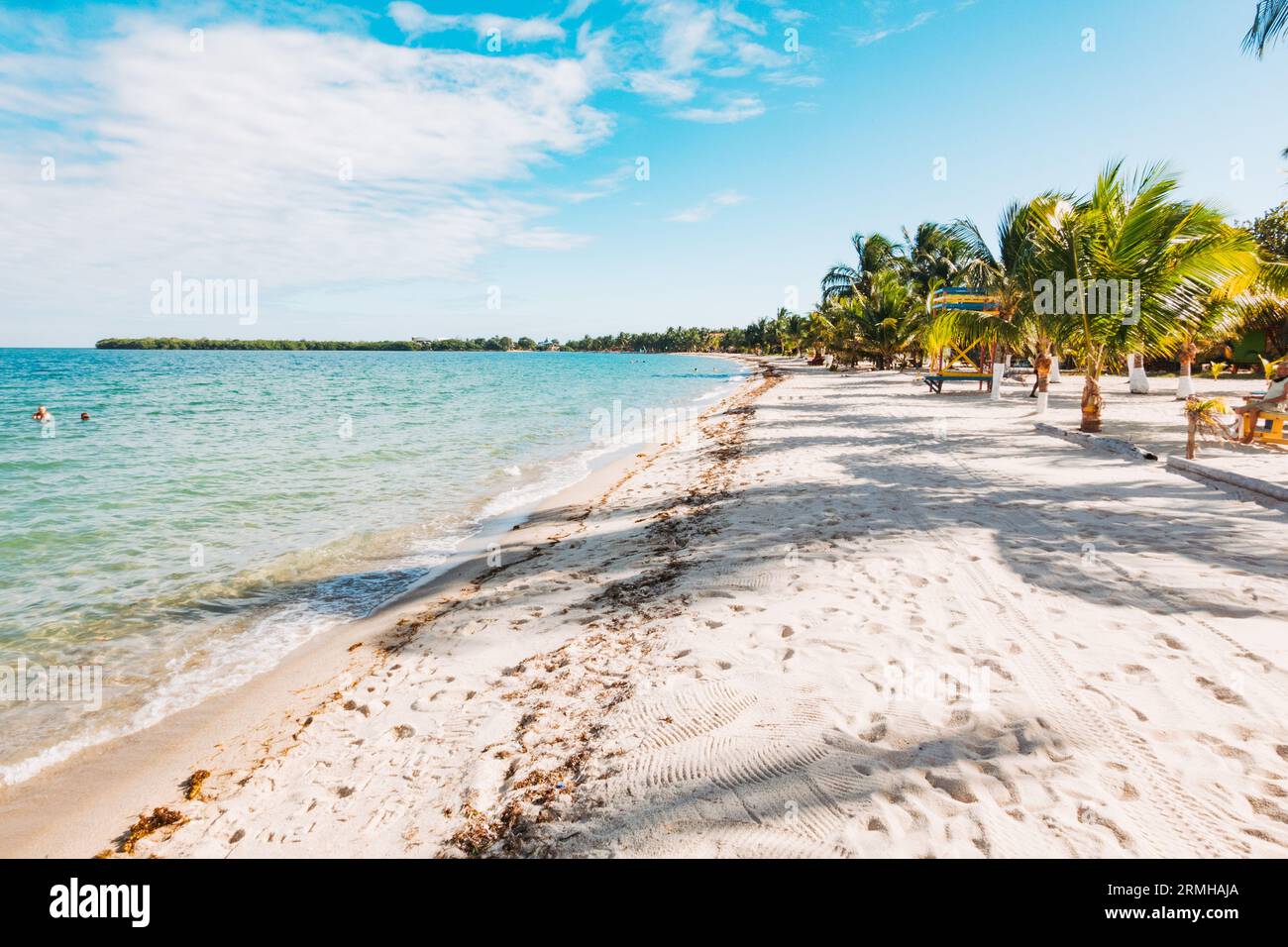 The blue water, white sand and palm-lined beach of Placencia, in ...