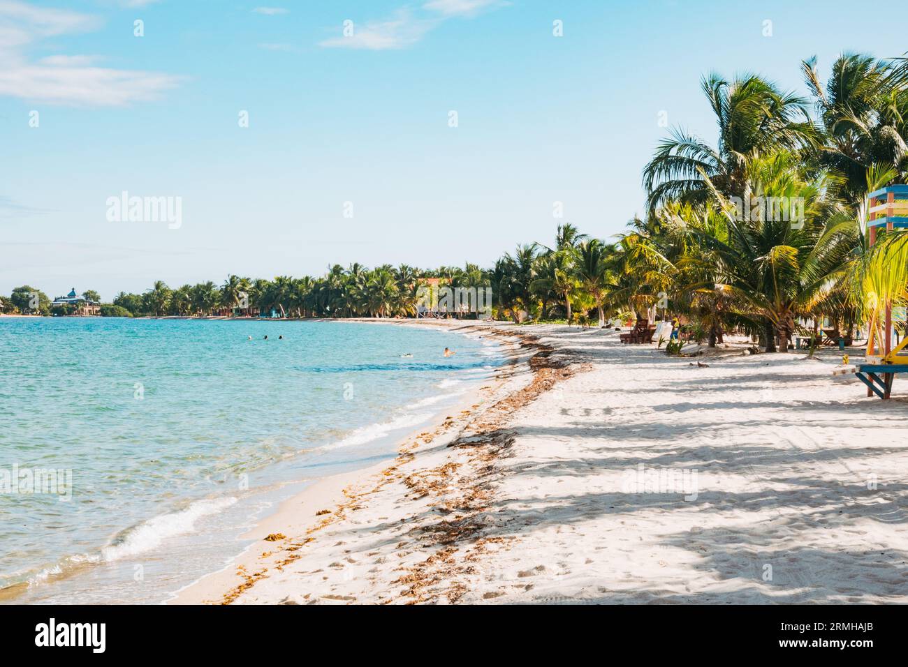 The blue water, white sand and palm-lined beach of Placencia, in ...