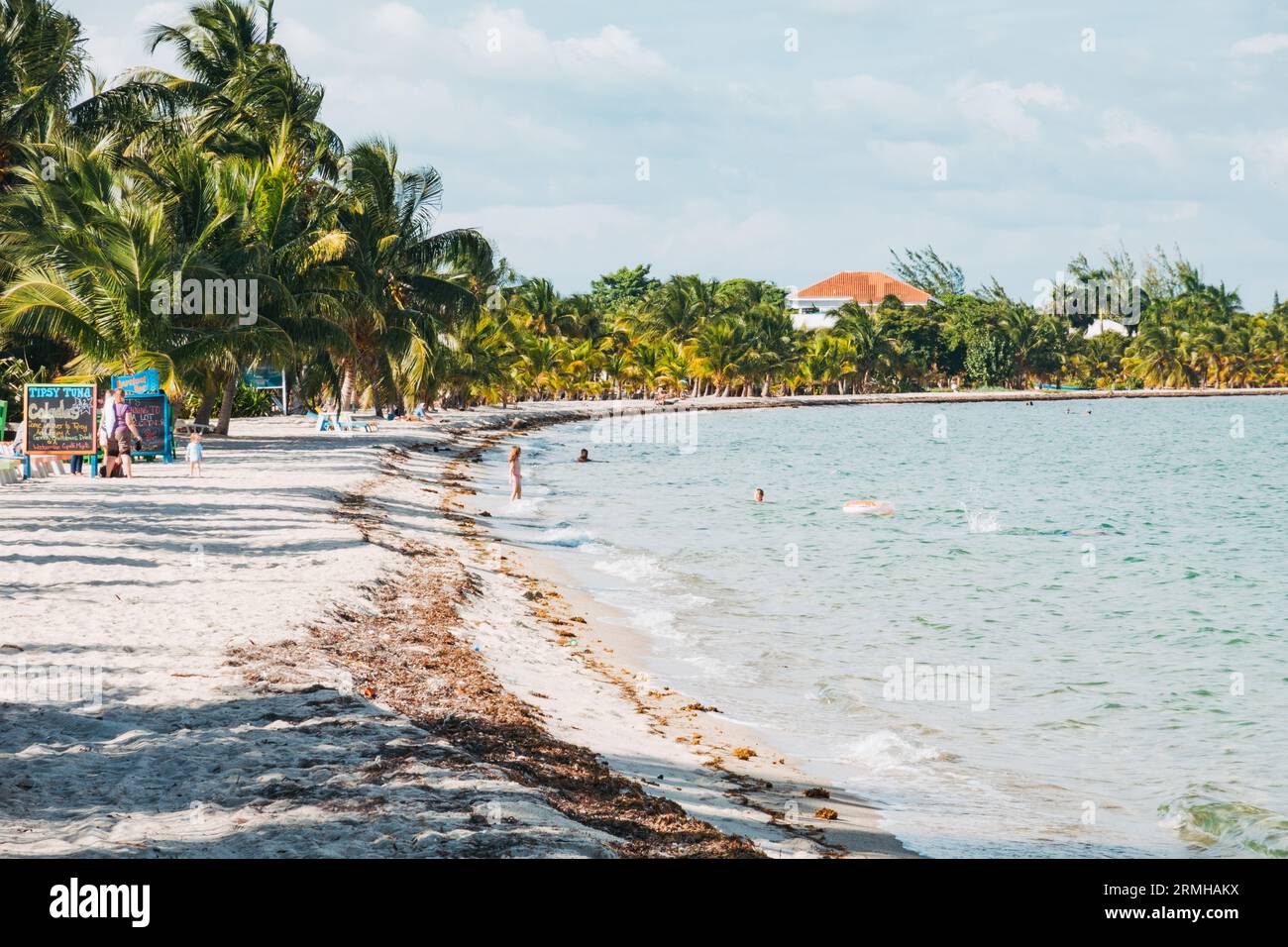 The blue water, white sand and palm-lined beach of Placencia, in ...