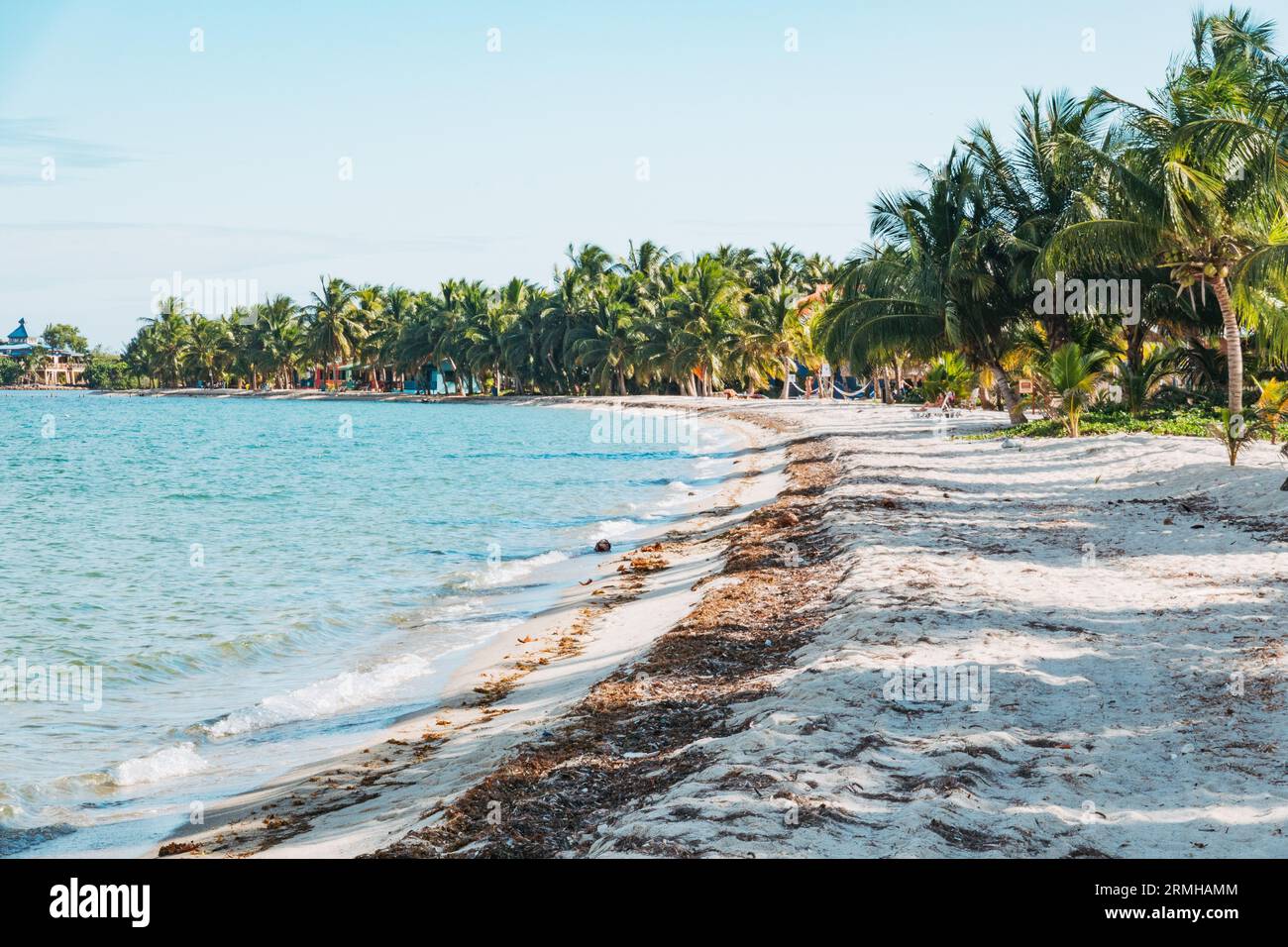 The blue water, white sand and palm-lined beach of Placencia, in ...