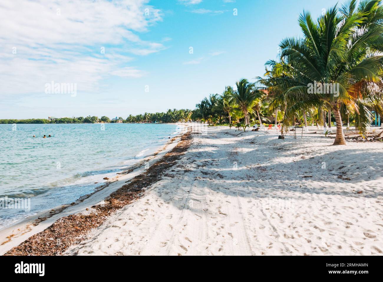 The blue water, white sand and palm-lined beach of Placencia, in ...