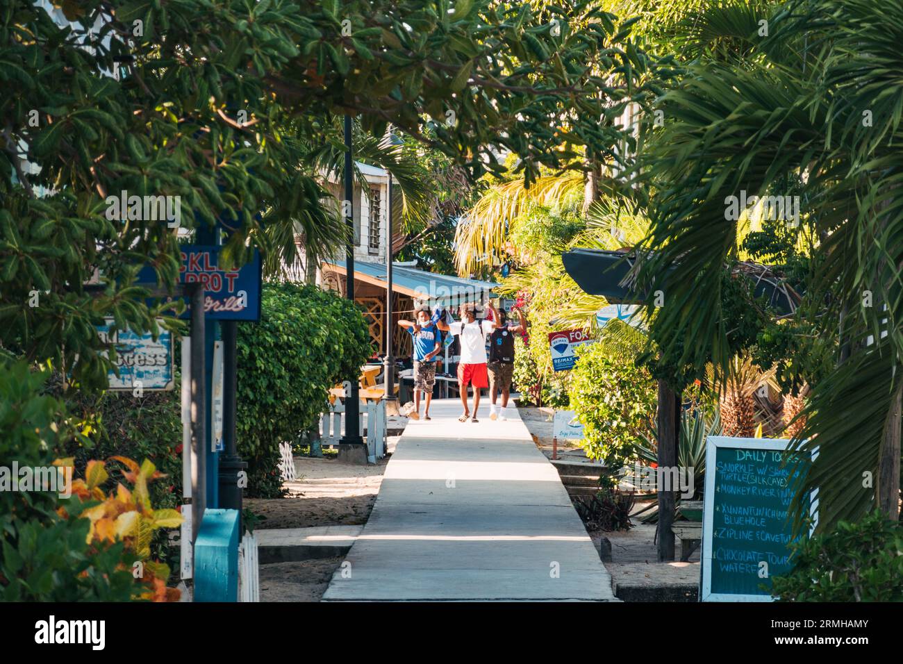 the main path through Placencia township, Belize. An urban legend ...
