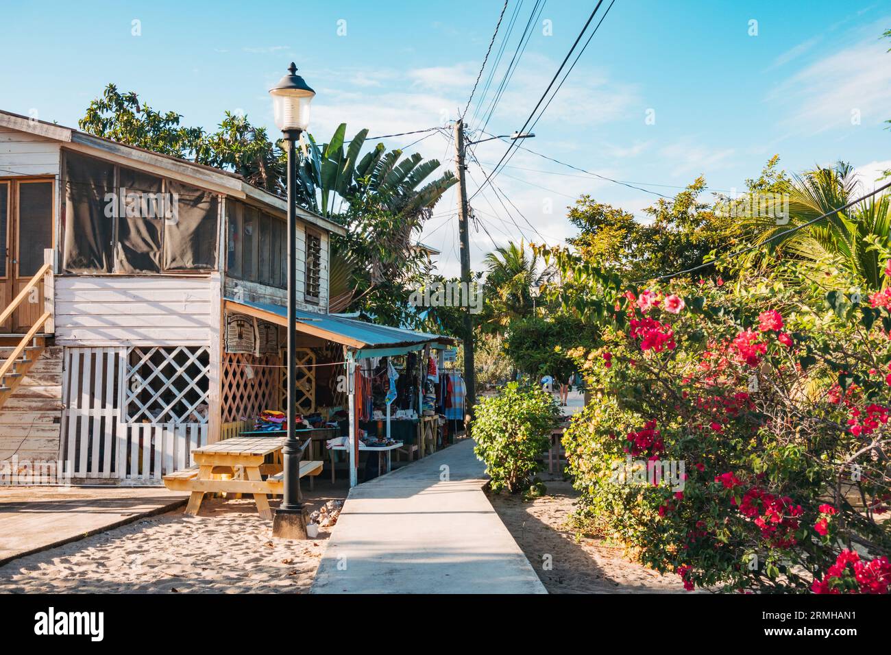 the main path through Placencia township, Belize. An urban legend ...