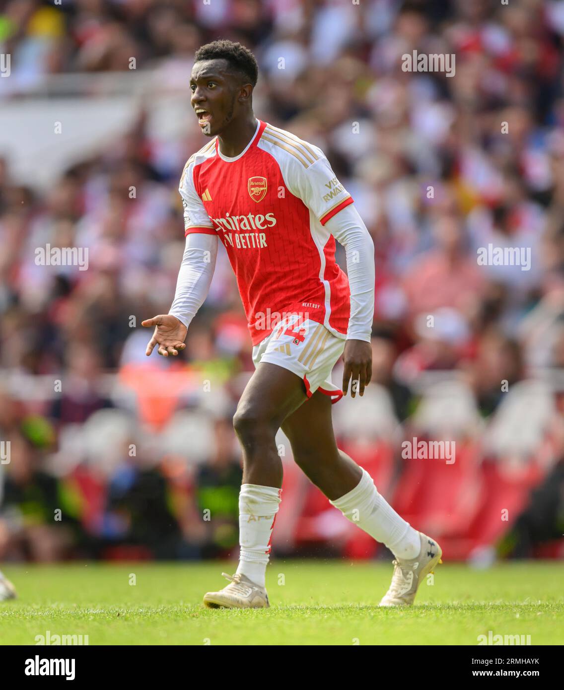 Eddie nketiah 2023 hi-res stock photography and images - Alamy